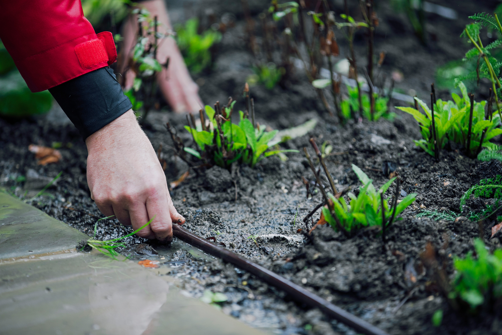 Bioline Dripline | Netafim USA