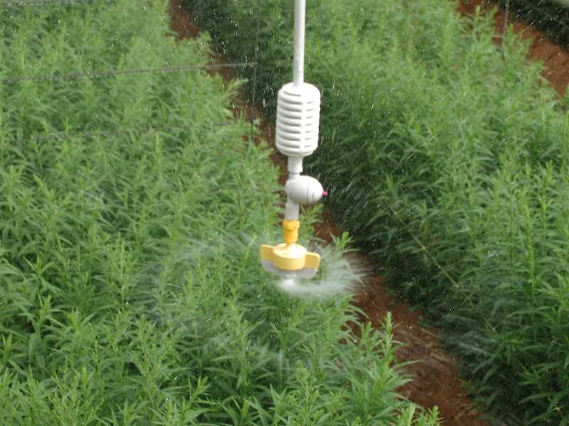 SpinNet™ | Netafim USA