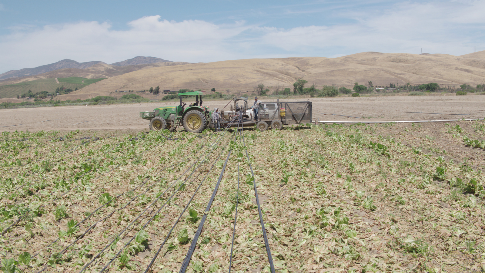 Introducing Netafim ReGen™ AgVantage Certification Program