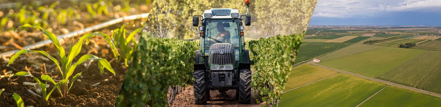 Precision Irrigation for Water Efficient Farming | Netafim USA