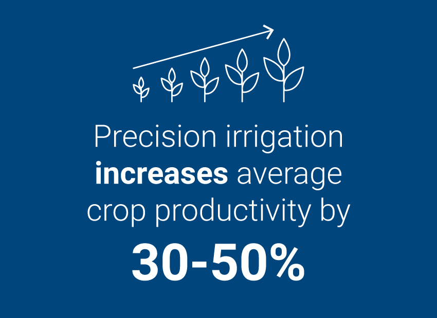 Precision Irrigation for Water Efficient Farming | Netafim USA