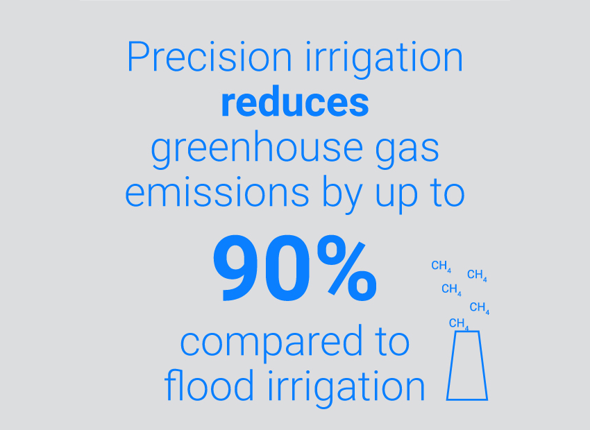 Precision Irrigation for Water Efficient Farming | Netafim USA