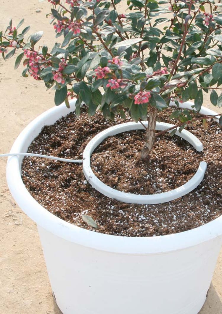 Sustainable Landscape Irrigation Solutions | Netafim North America