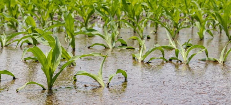 Precipitation Alone Will Not Solve Our Water Crisis