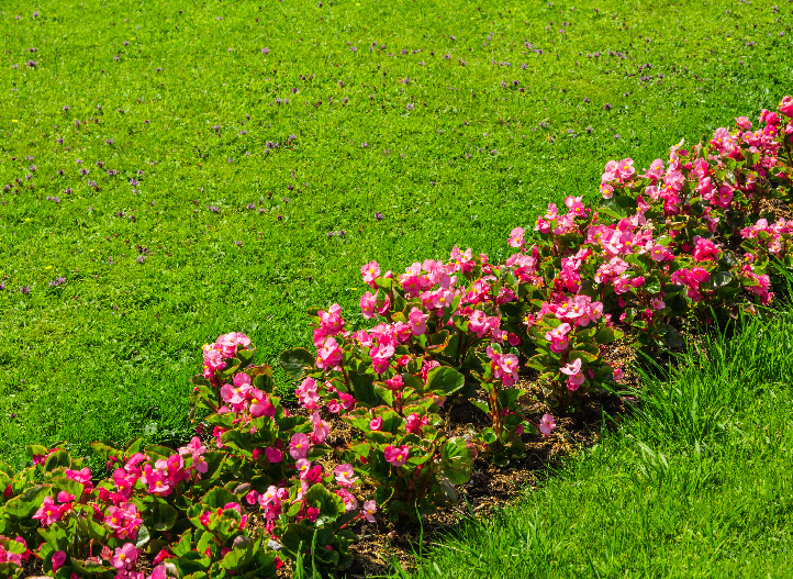 Techline™ Copper Battles Root Intrusion