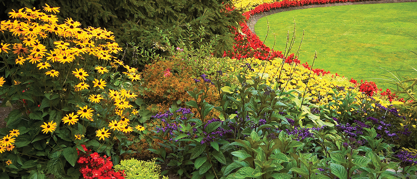 Drip Line Irrigation and Drip Irrigation Hose for Garden, Lawn & Turf