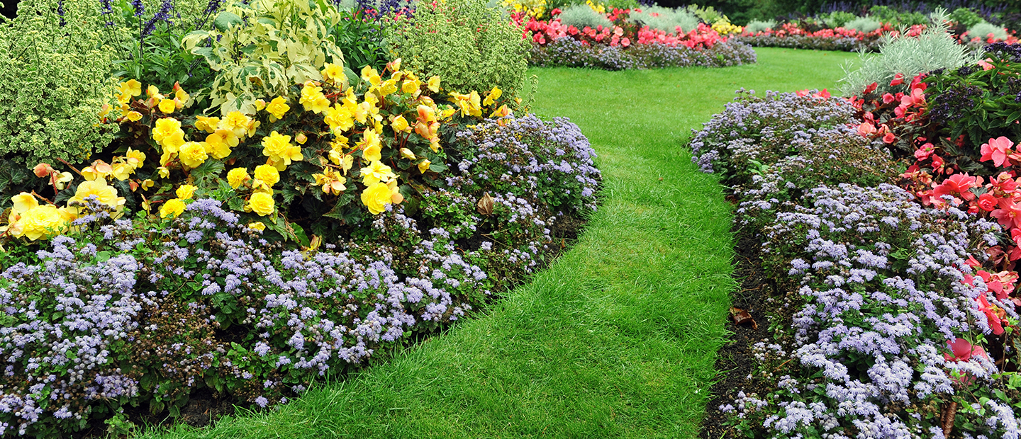 Garden Drip System for Homeowners - Residential Drip Irrigation