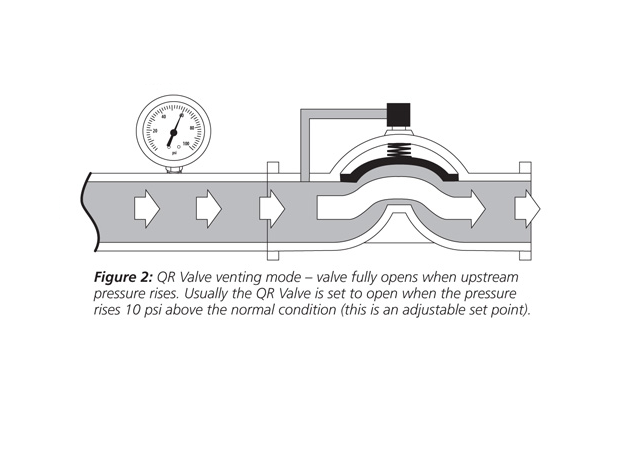 Quick Relief (QR) Valves | Netafim USA