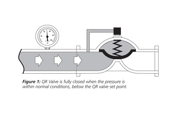 Quick Relief (QR) Valves | Netafim USA