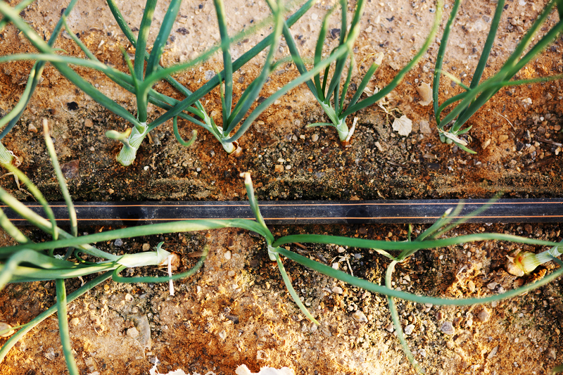 Streamline™ X - Agriculture Drip Irrigation Tape