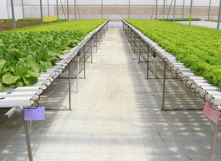 Combination Air Vents | Netafim USA