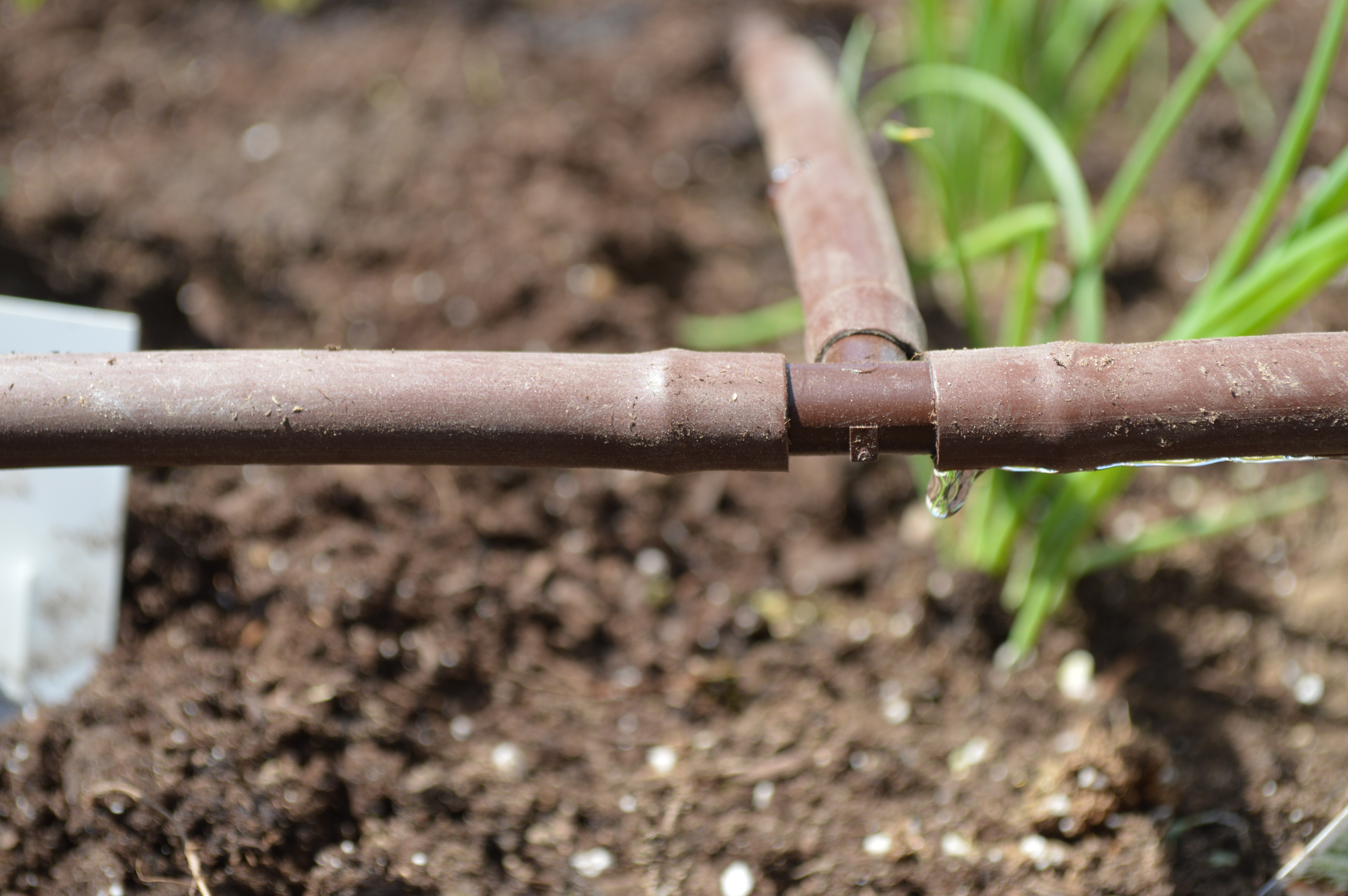 Techline™ EZ Driplines