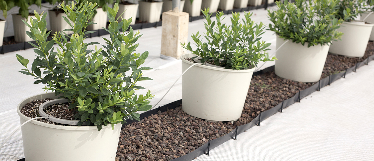 NetBow™: A User Friendly and Innovative Drip Irrigation Ring