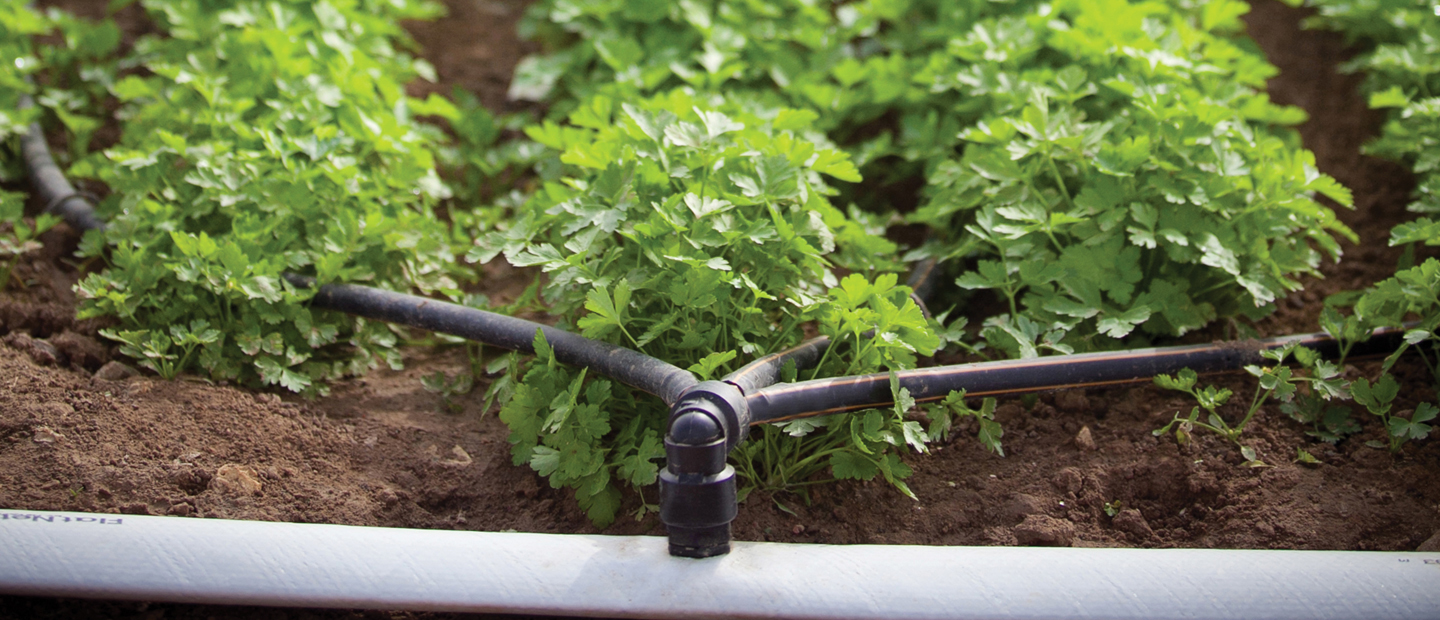 Crop & Agricultural Systems - Agricultural Drip Irrigation Products