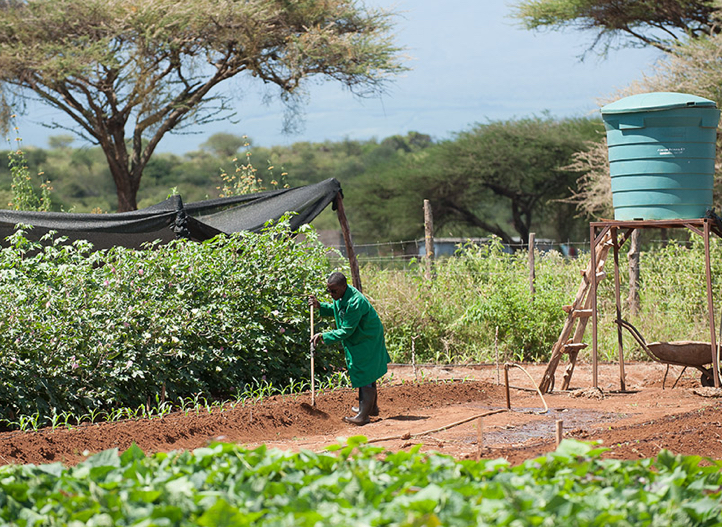 Sustainable Agriculture and Irrigation | Netafim USA