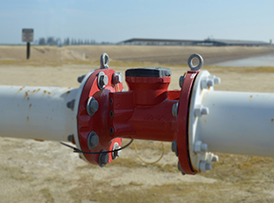 Subsurface Drip Irrigation for Dairy Effluent, SDI-E | Netafim USA